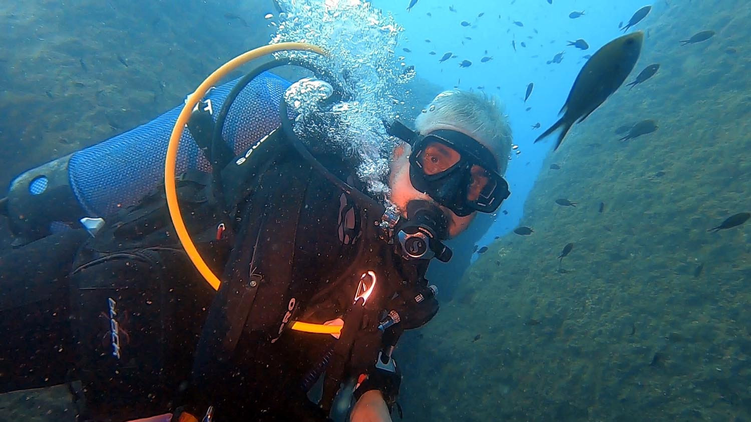 Tauchen - ein faszinierendes Hobby: TV Werne bietet Einblicke – Werne Plus